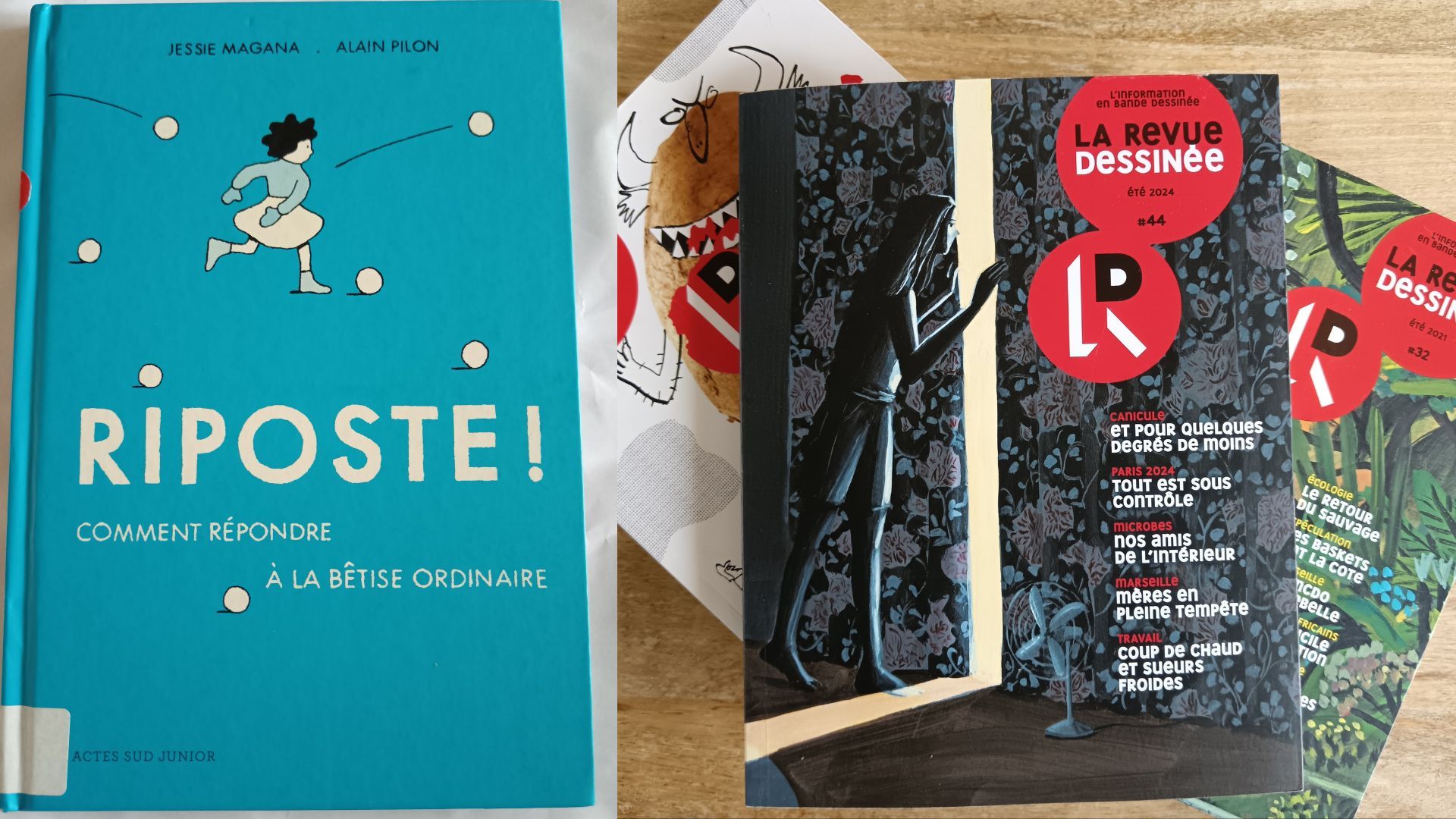 chronique sur les livres pour comprendre le monde par le Cicodes